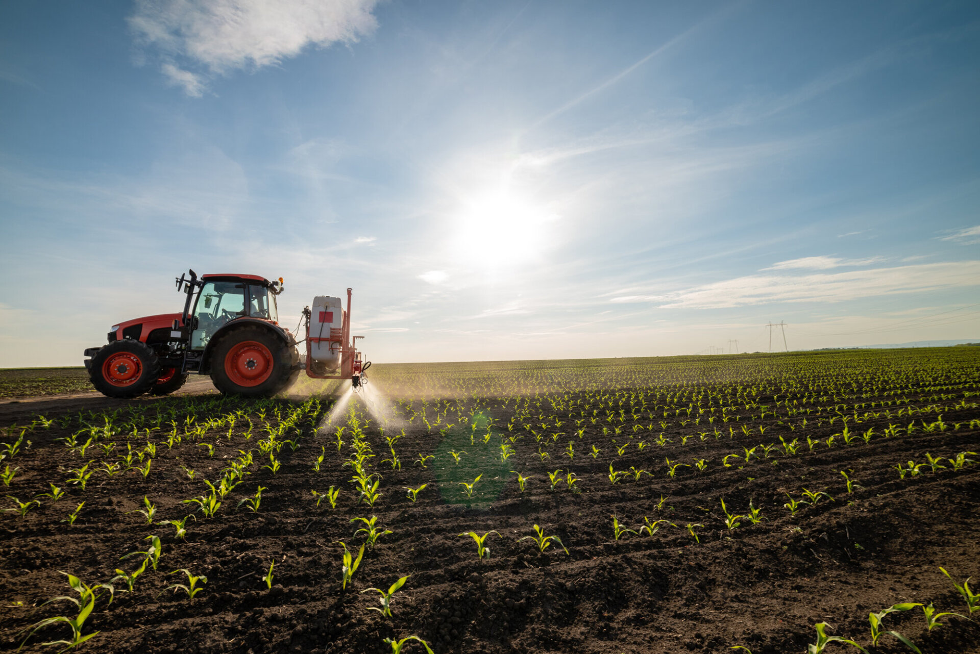 Commercial Grower - Neutrog