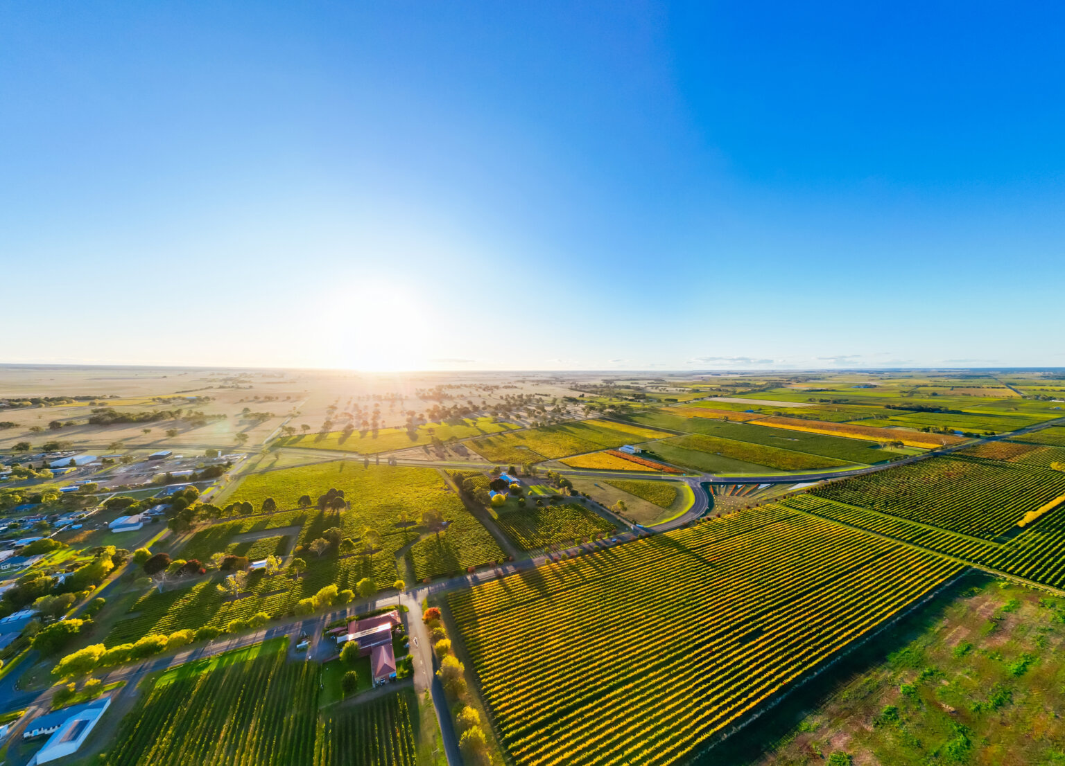 Neutrog - Biological Fertilisers