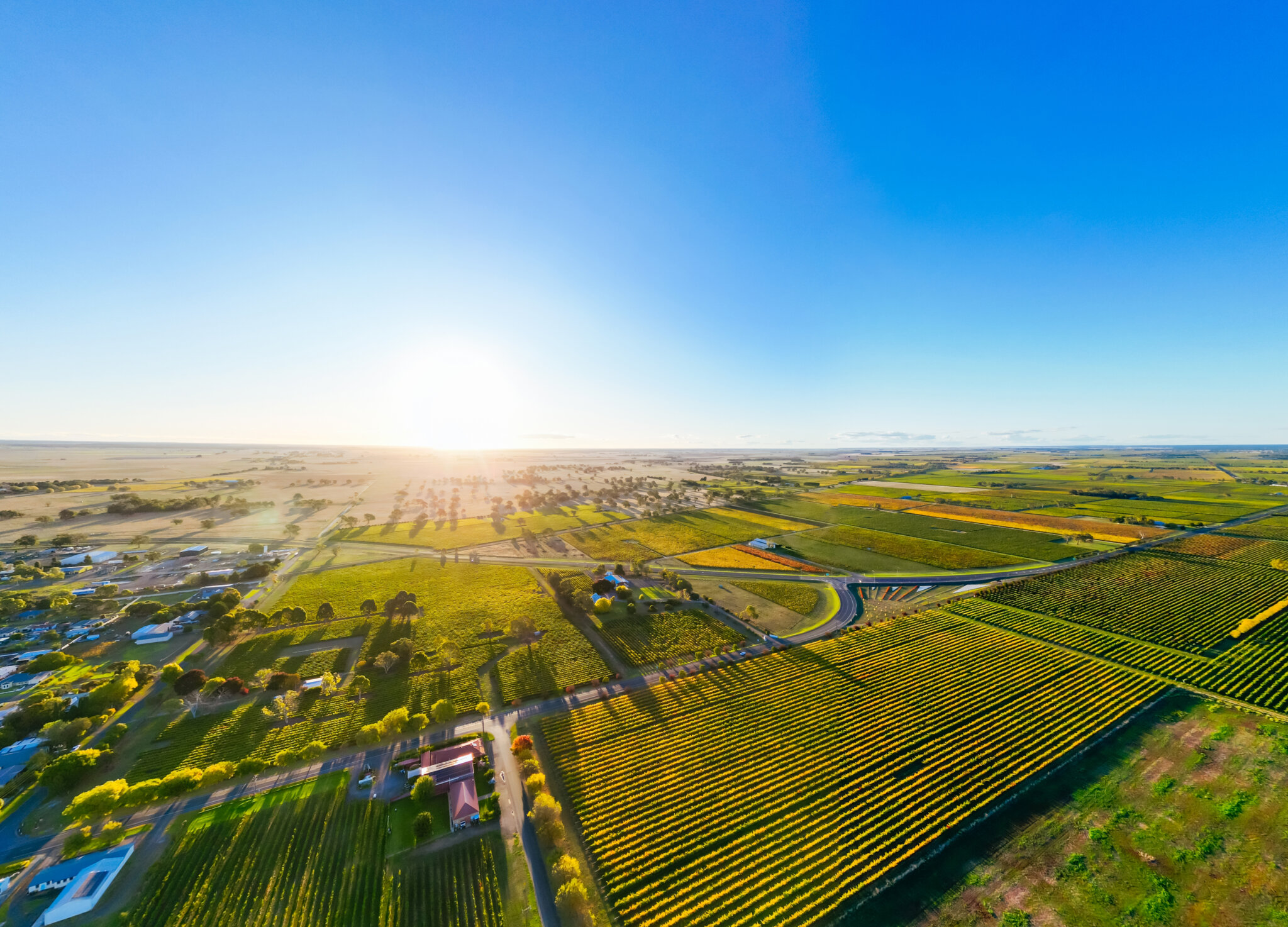 Neutrog - Biological Fertilisers