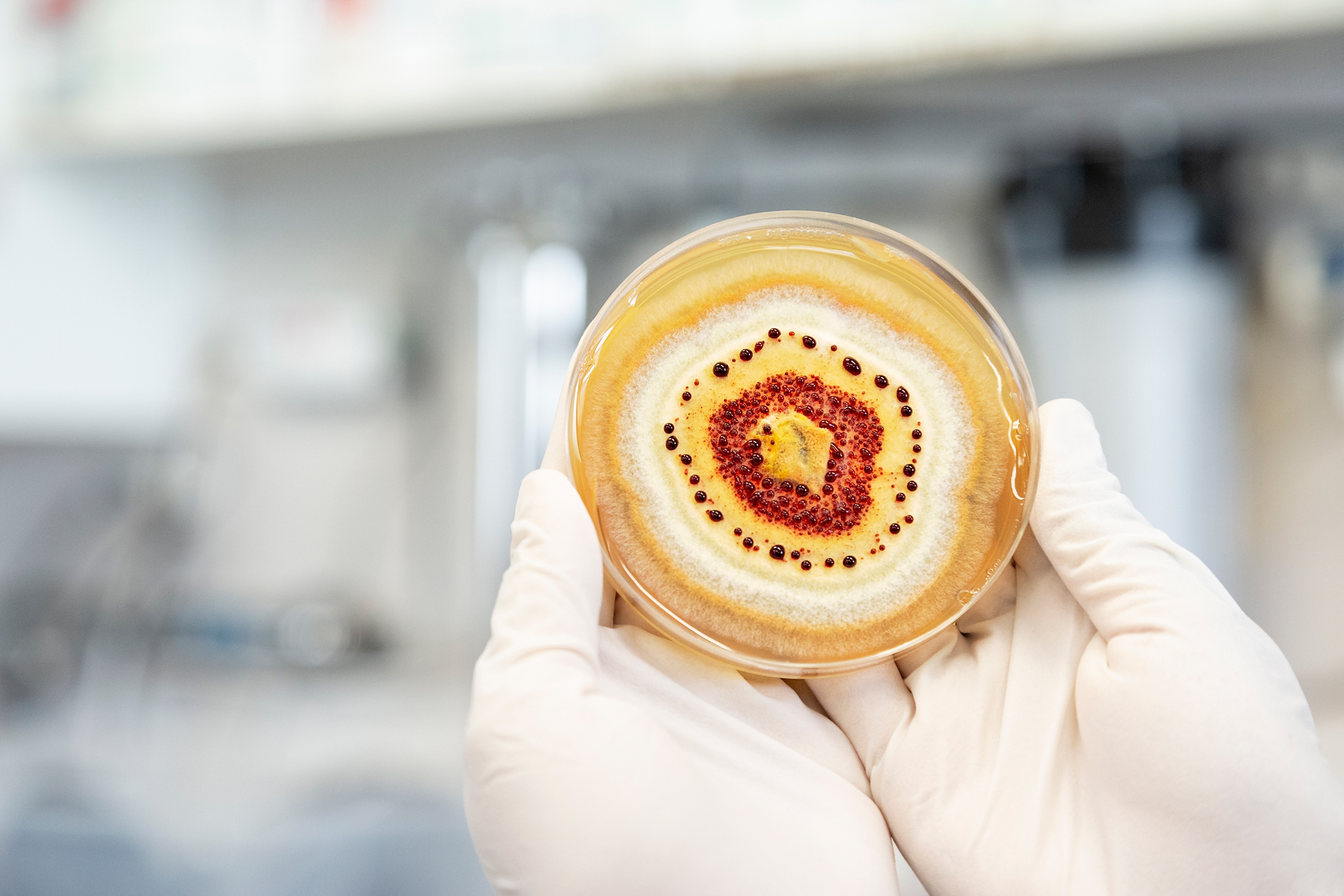 Research & Education Centre - Neutrog