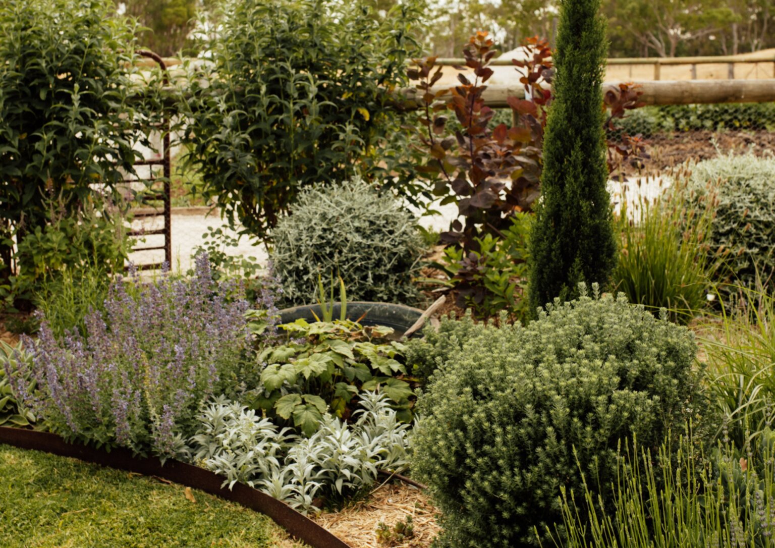 Balmoral Flower Farm - Neutrog