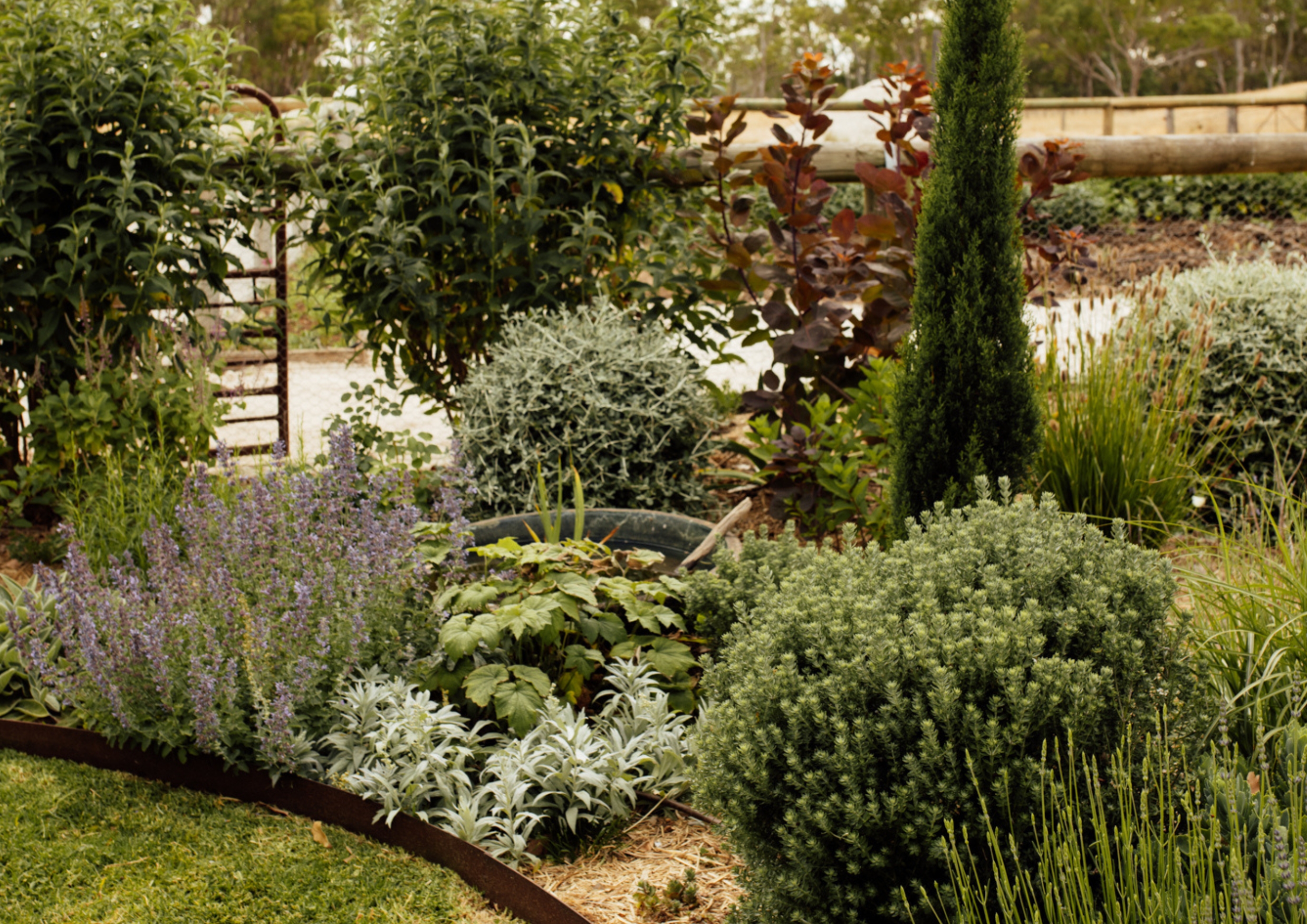 Balmoral Flower Farm - Neutrog