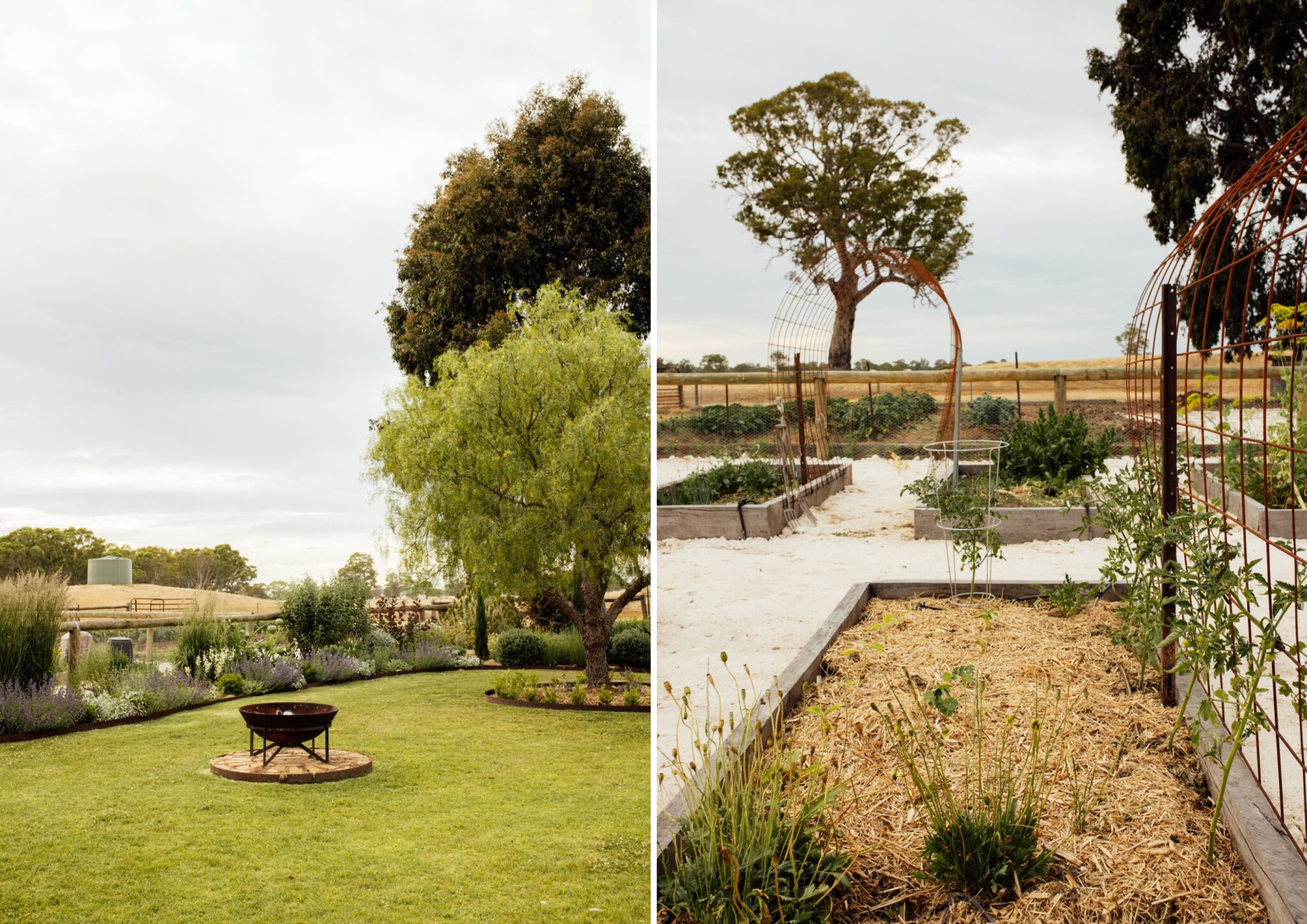 Balmoral Flower Farm - Neutrog