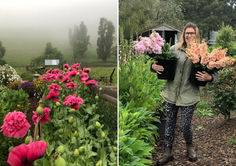 Willow Creek Farm - Neutrog