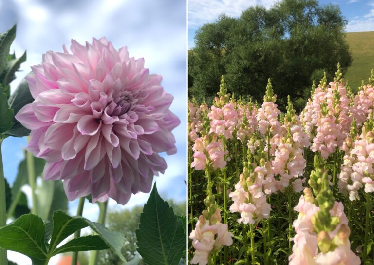 Willow Creek Farm - Neutrog