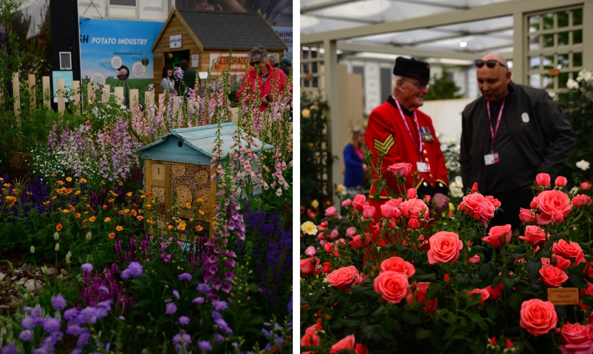 Chelsea Flower Show 2025 - Neutrog